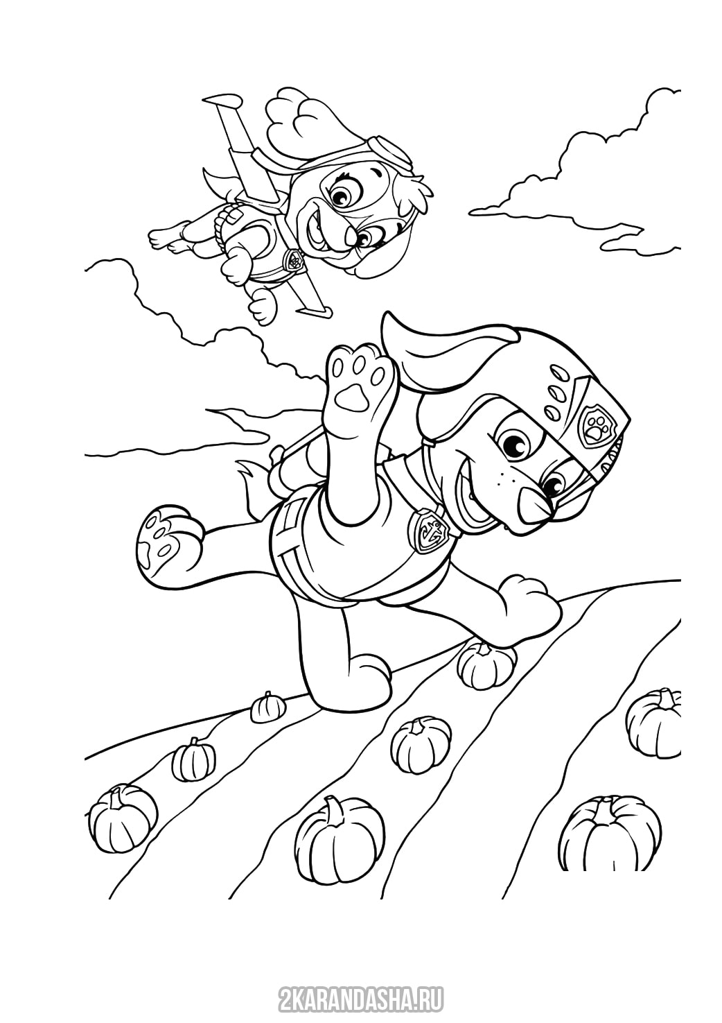 Раскраска скай и зума на задании распечатать | Щенячий патруль