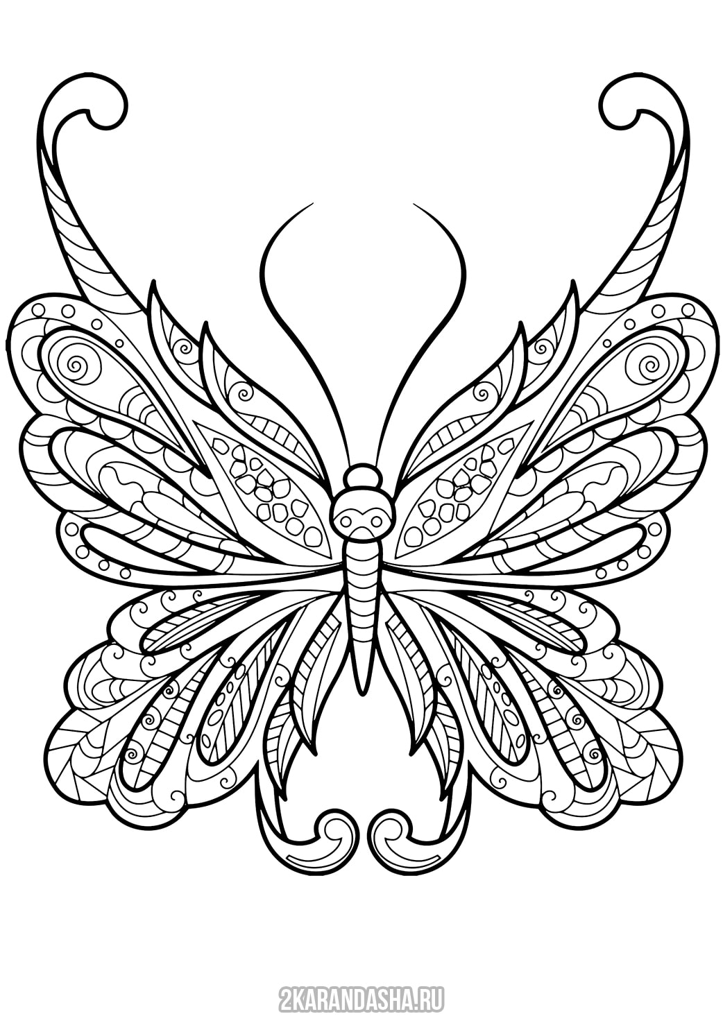 Раскраска антистресс чудесная бабочка для детей распечатать