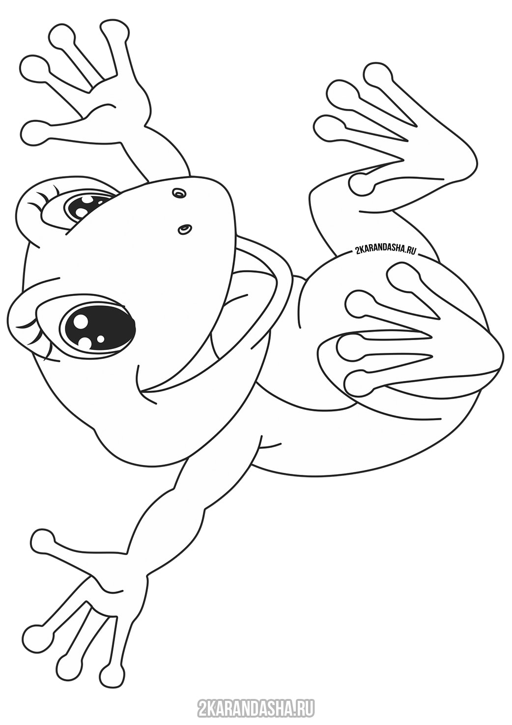 Jumping Frog Coloring Pages Sketch Coloring Page