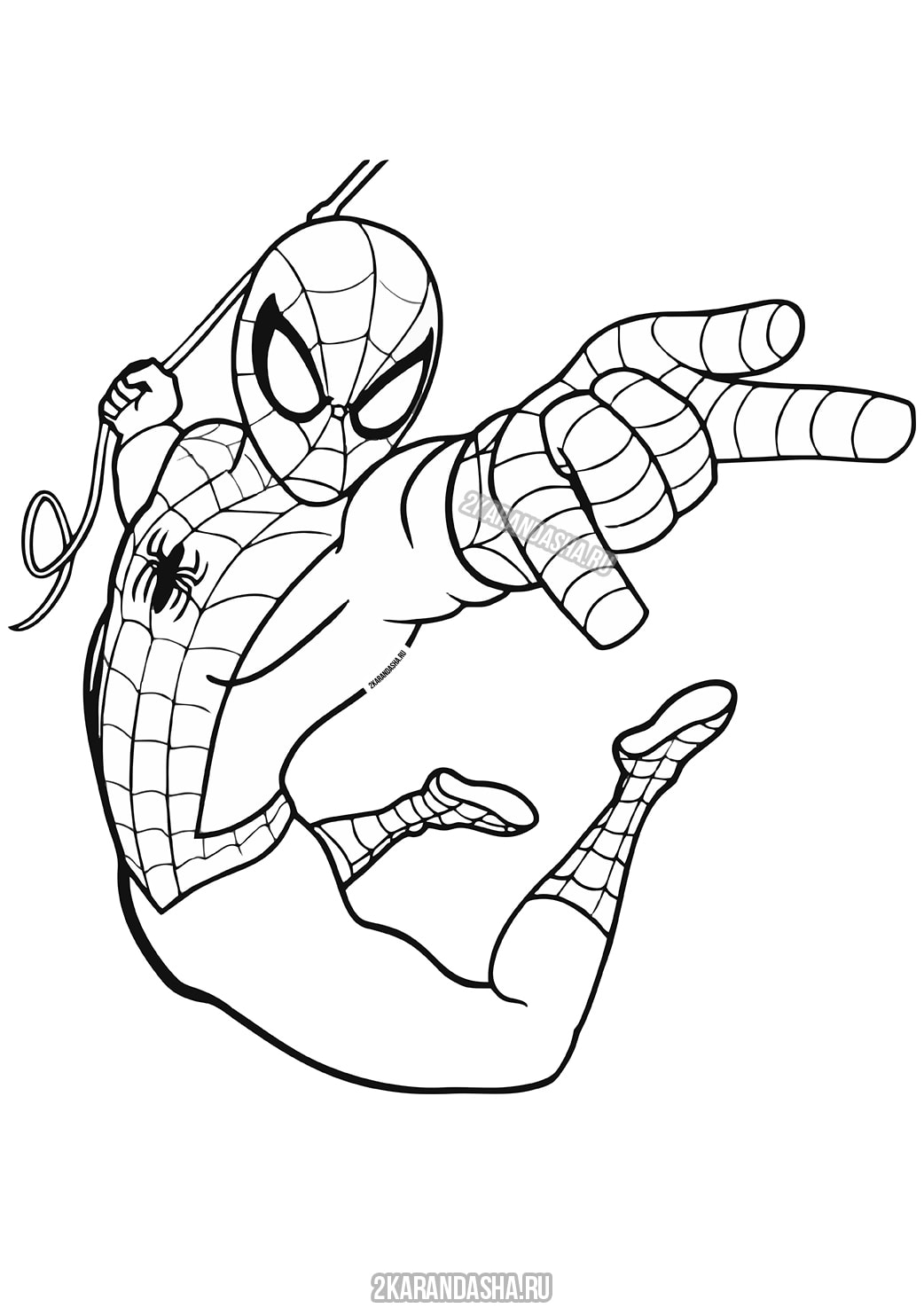 Раскраска человек-паук герой в маске на паутине распечатать | Spider man