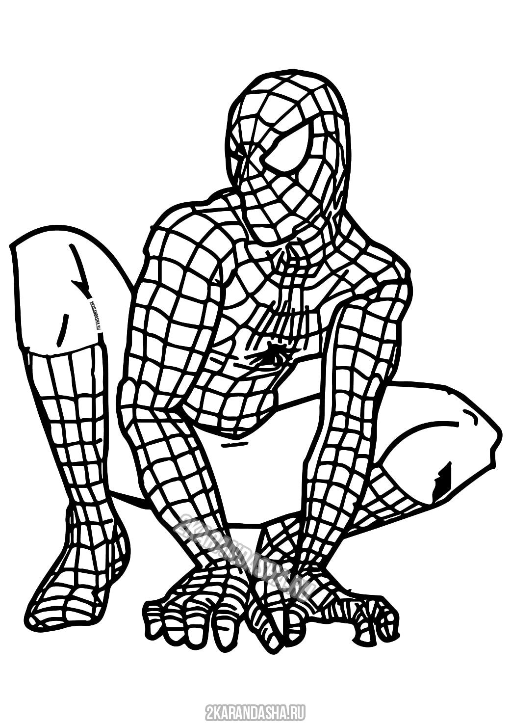 Раскраска человек-паук супергерой на страже распечатать | Spider man