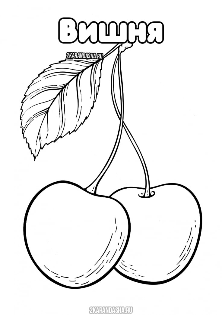 Раскраска вишня с листочком распечатать
