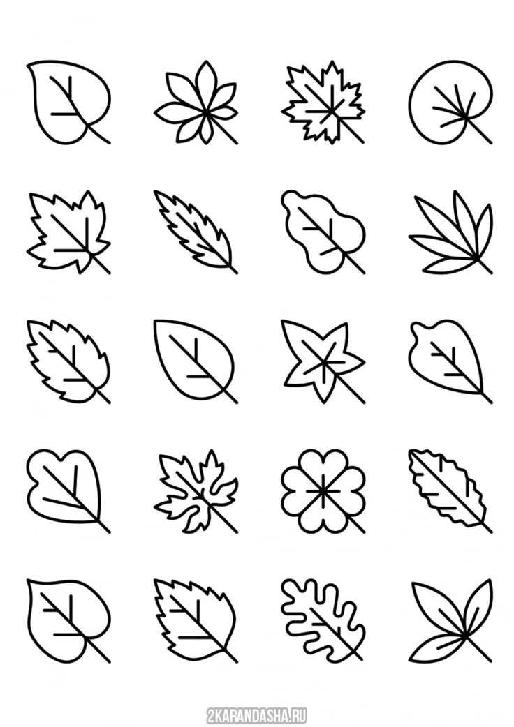 Раскраска онлайн Листья разные иконки бесплатно