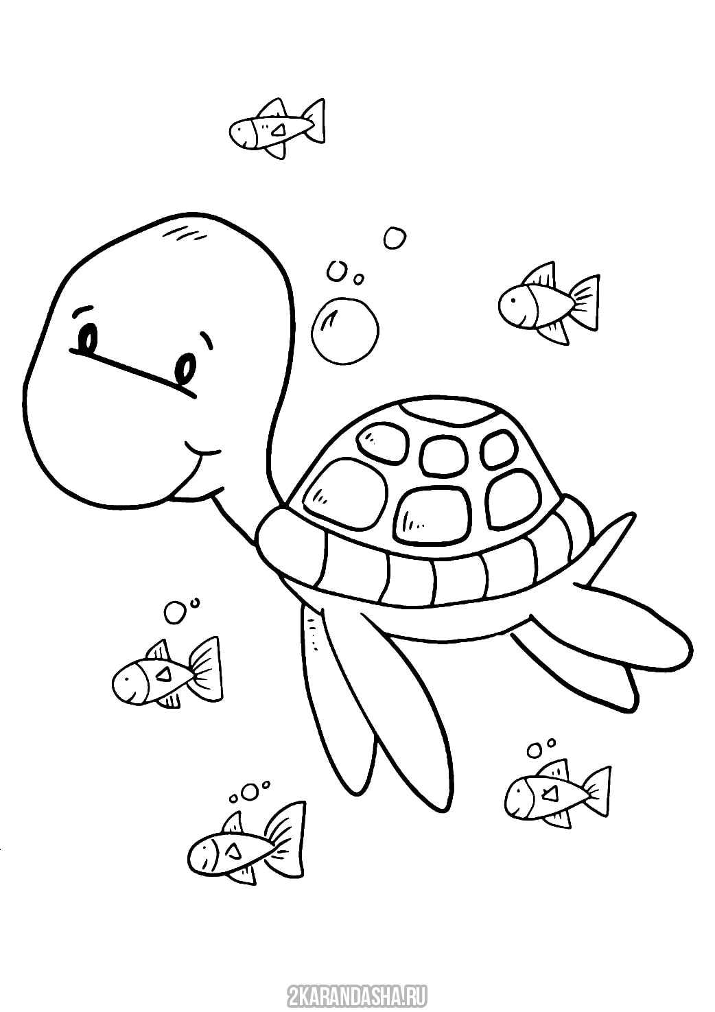 Раскраска онлайн Черепашка водоплавающая бесплатно