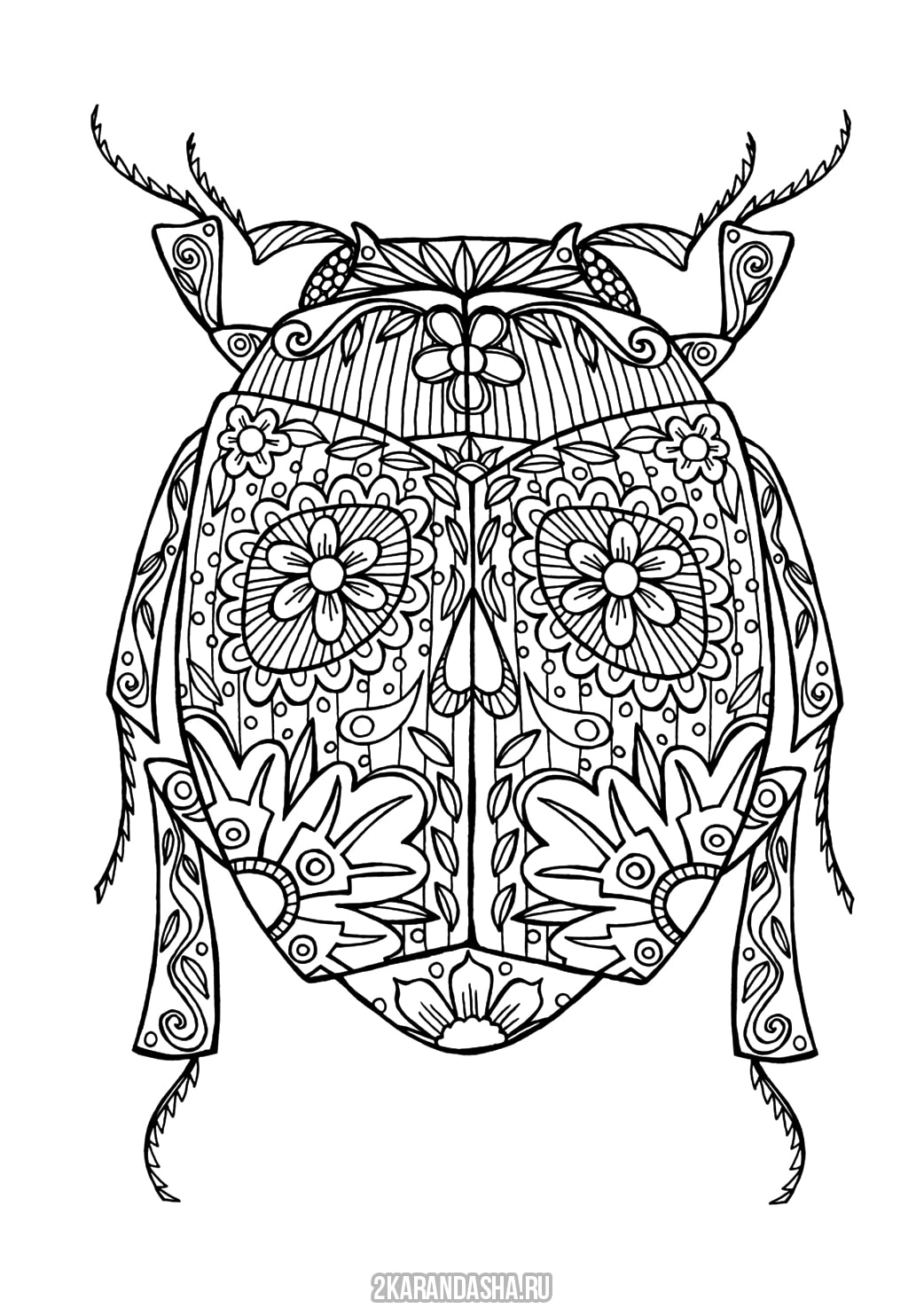 Раскраска онлайн Жук-скарабей арт-терапия бесплатно