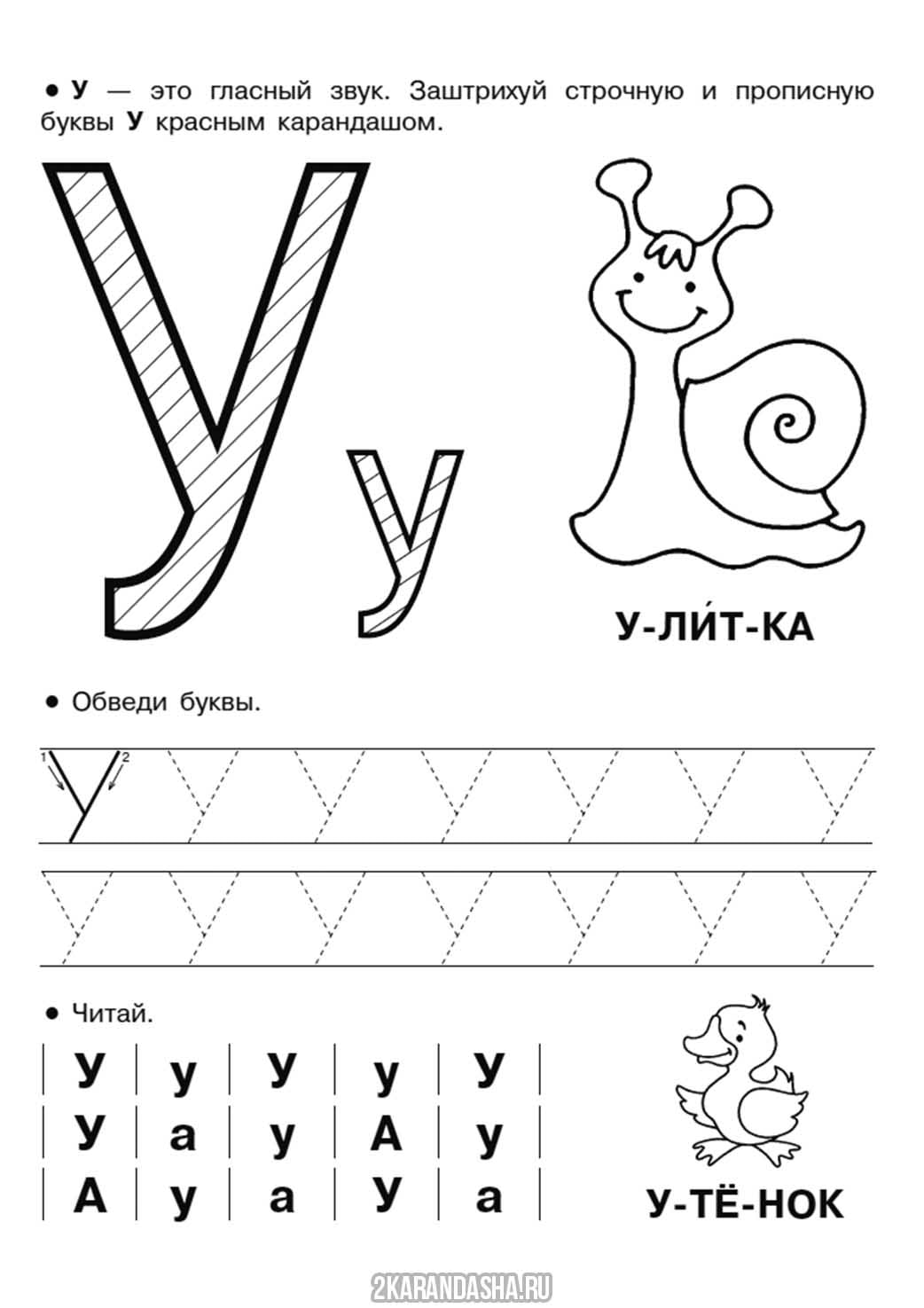 Распечатать буква у с улиткой пропись для детей, пропись буква У