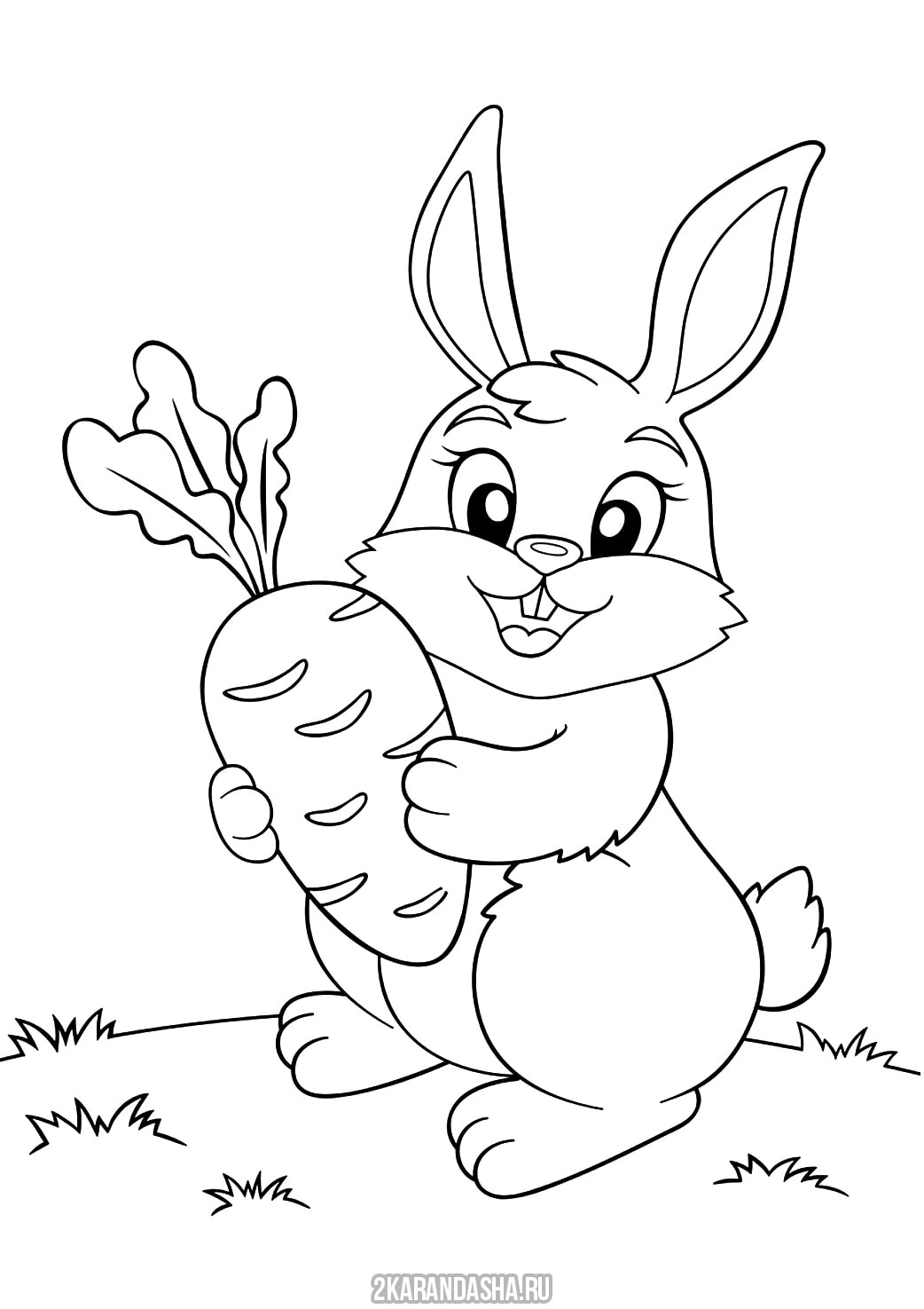 Раскраска зайка выдернул морковку распечатать бесплатно